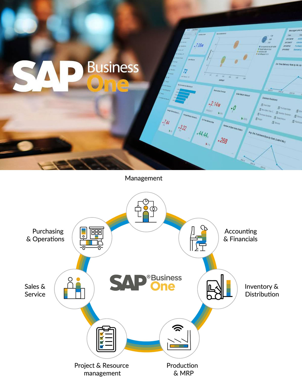 SAP Accounting & ERP Products – Multisoft Solutions